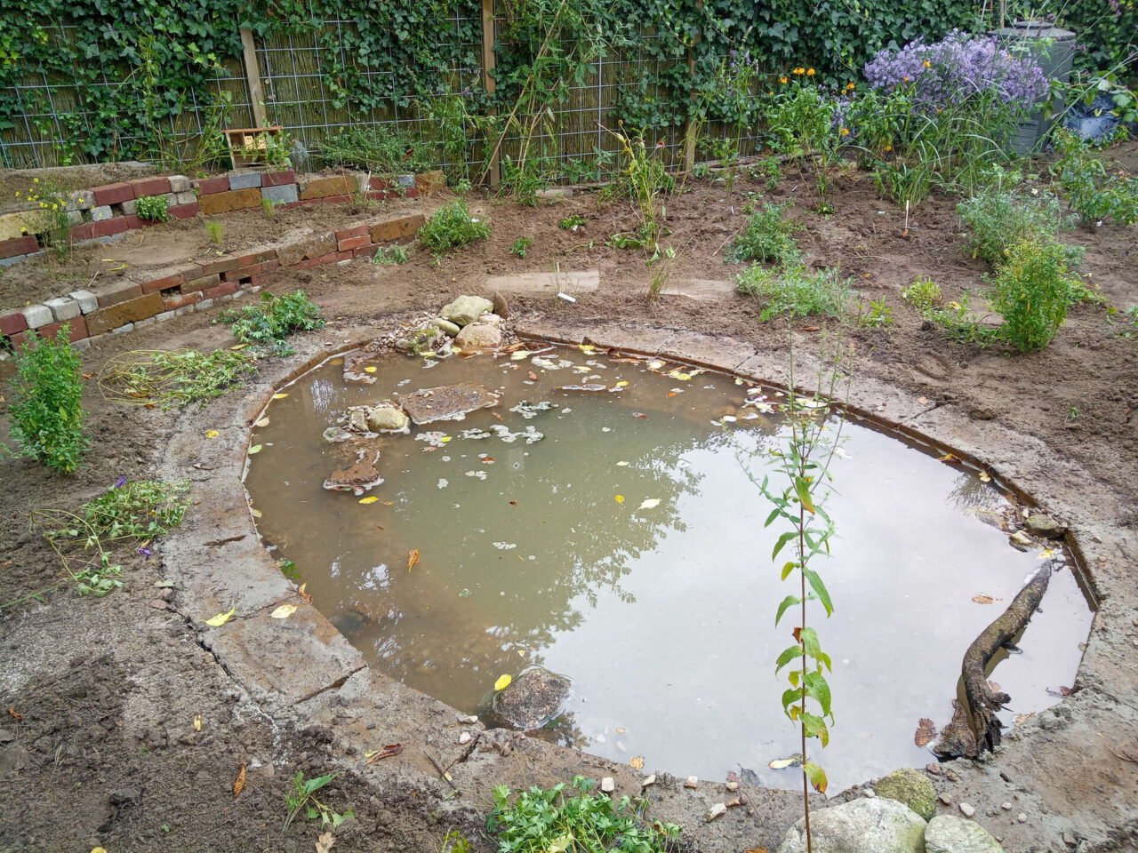 Vijver of Wadi aanleggen - Tuinfluiter Tuinen